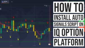 51 Script – AM Courses